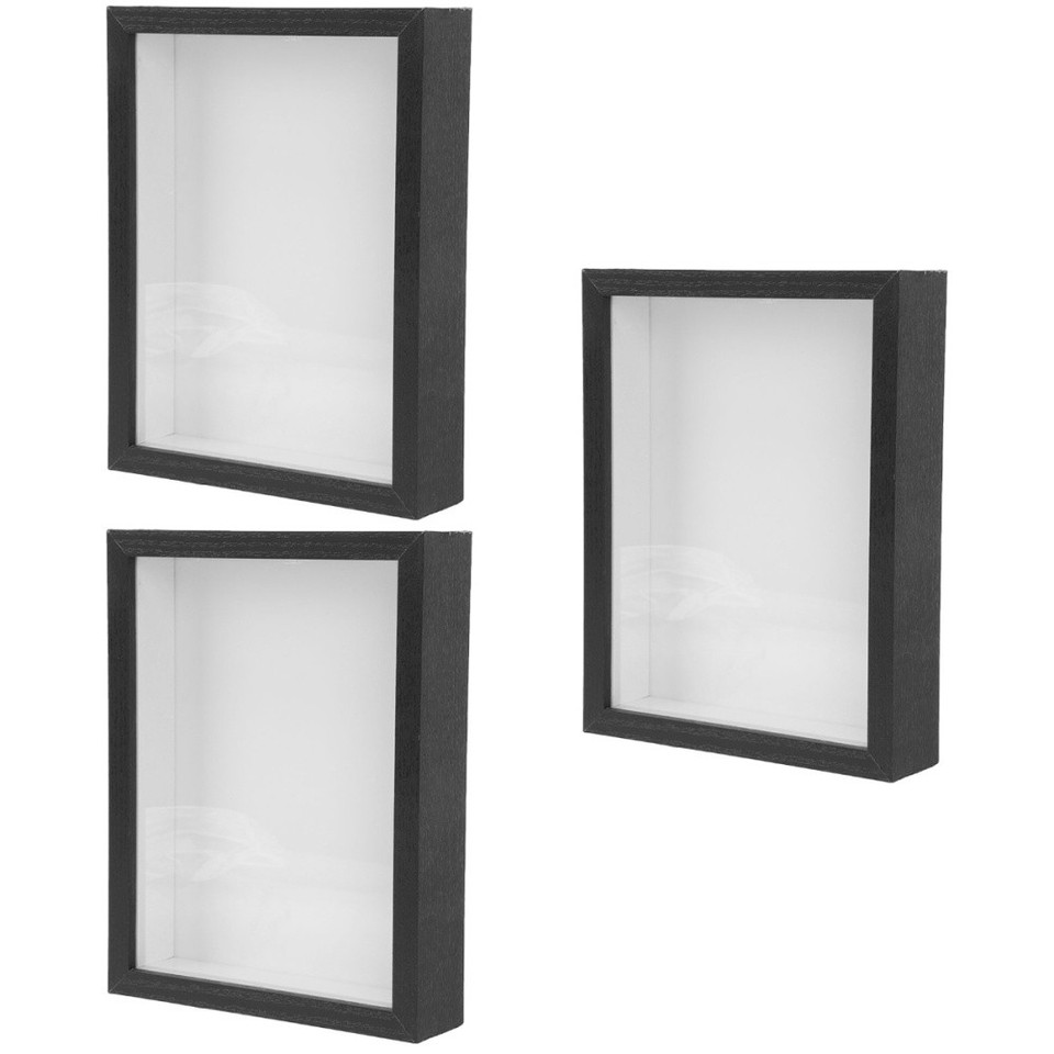 Shadow Box Frame Flower Press Dry Flowers Picture Preserved Photo | eBay