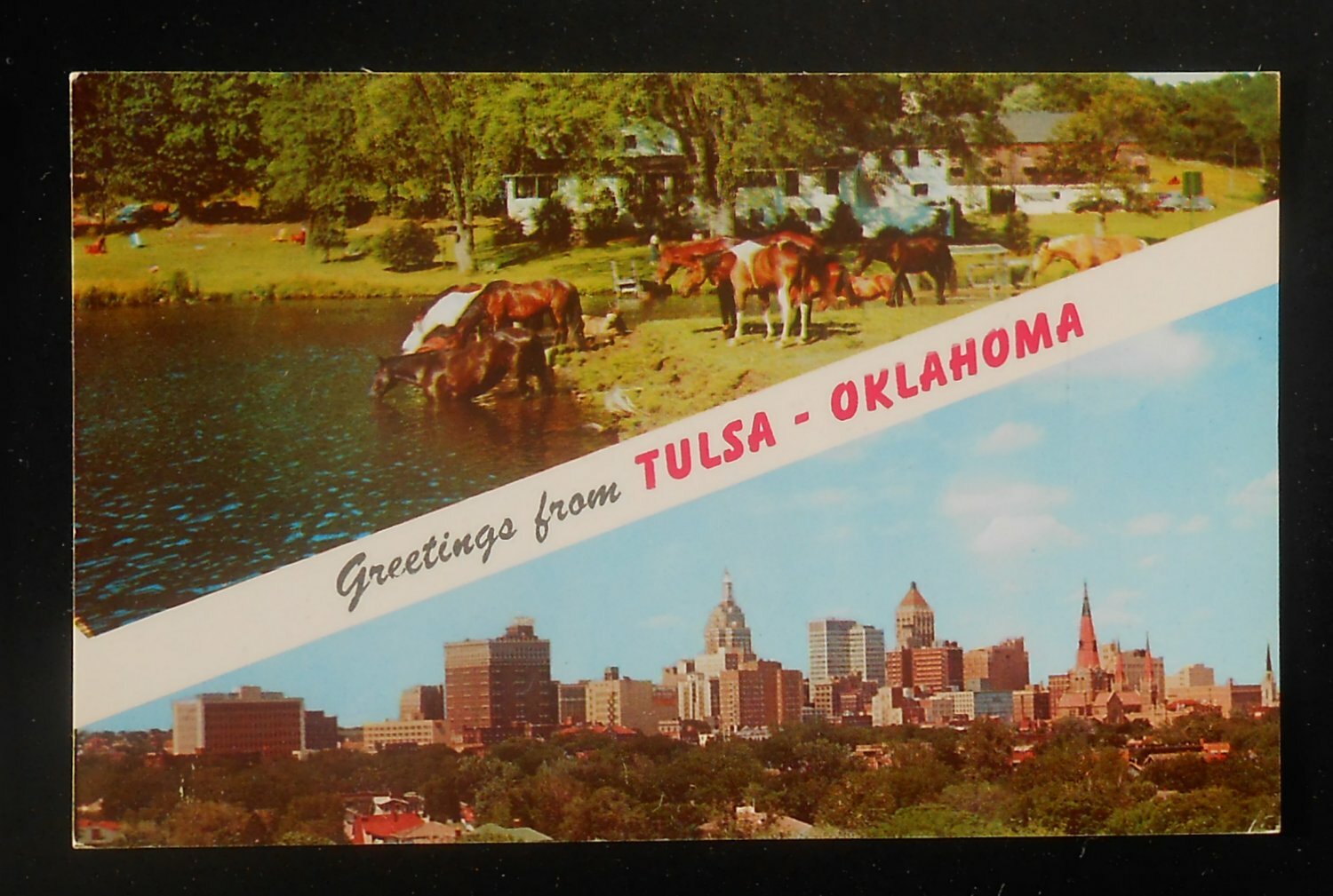 1950s Horse and Skyline Greetings from Tulsa OK Postcard Oklahoma | eBay