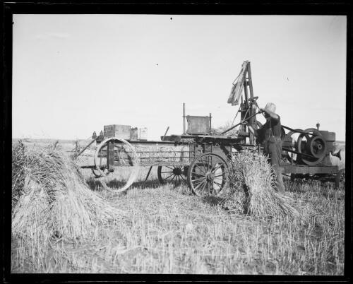 Farmer loading crop onto hay baler, NSW, ca. 1920s Australia Old Photo ...