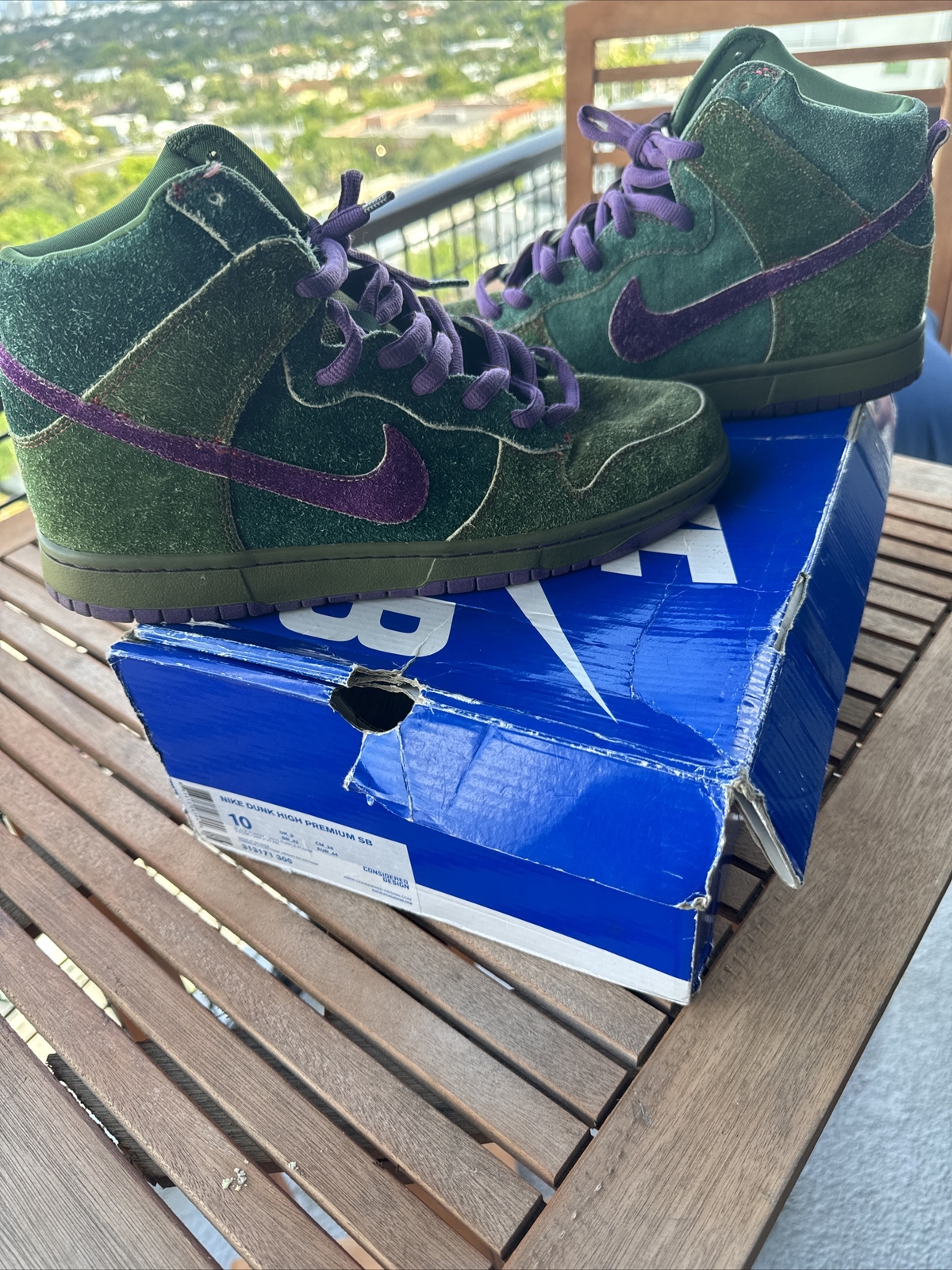 Size 10 - Nike Dunk Premium SB High Skunk