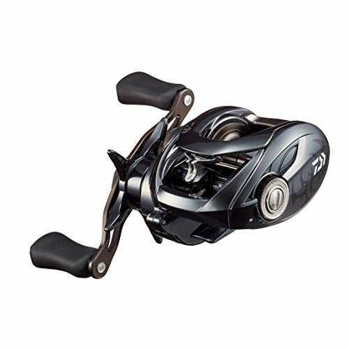 Daiwa 20 TATULA SV TW 103SH Right handle Bait casting reel | eBay