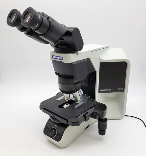 Olympus Microscope BX46 LED with Tilting Ergo Head & 2x for Pathology ...