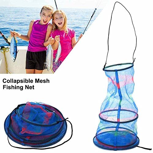 2pcs Collapsible Fishing Cage Basket Net For Keeping Fish Alive | eBay