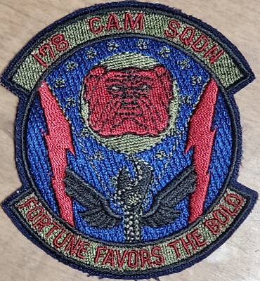 USAF 178th CAM CONSOLIDATED AIRCRAFT MAINTENANCE SQDN Patch Subdued VTG ...