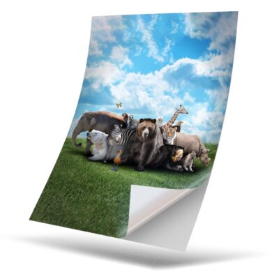 1 x Vinyl Sticker A4 - Wild Animals Bear Giraffe Zebra #14558 | eBay UK