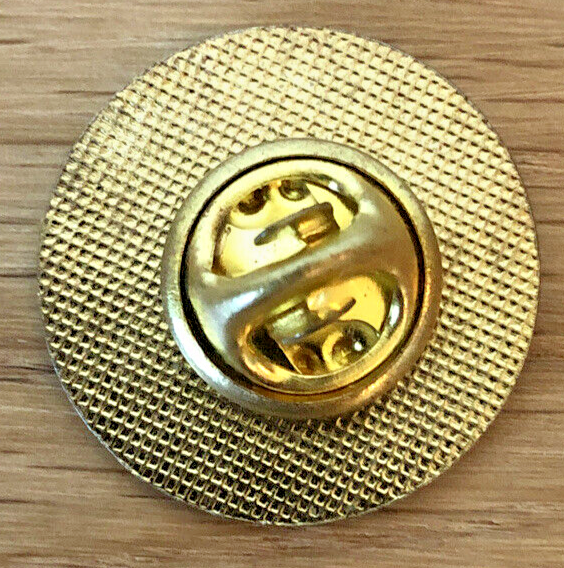 South Dakota Souvenir Pin Indian Chief Lapel Pinback | eBay