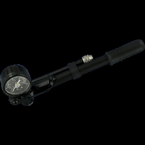 Progressive Gauge Mounted Shock Absorber Hand Micro Pump 0-60 ...