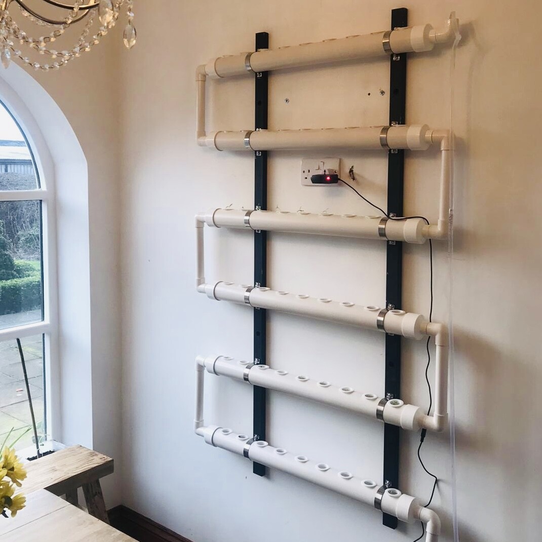 Indoor Hydroponic Wall System