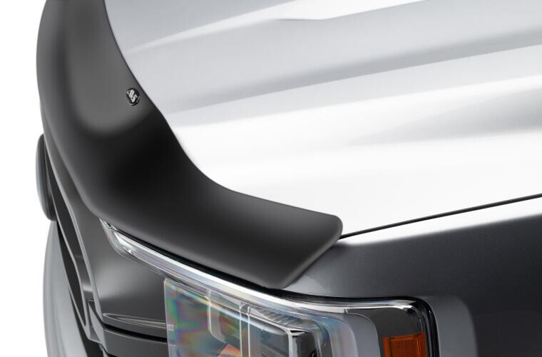 AVS BugFlector Hood Protector Bug Shield Deflector for 2021-2024 Ford ...