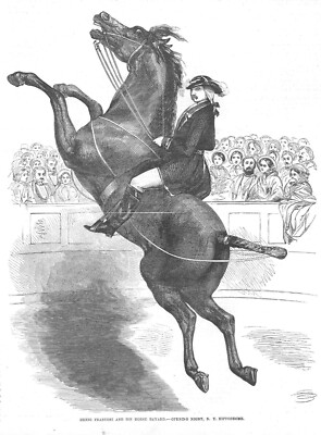 Henri Franconi and his Horse Bayard - Opening Night, N. Y. Hippodrome ...