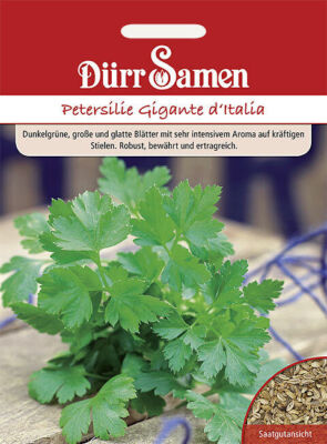 Prezzemolo Gigante D'Italia Semi Di Dürr Samen Petersiliensamen ...