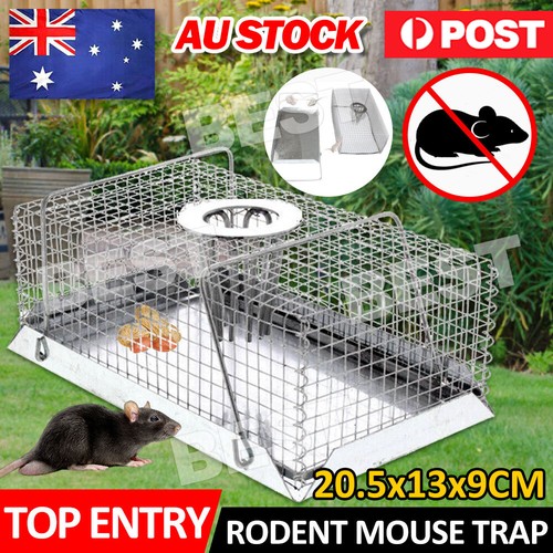 Rodent Rat Mouse Mice Trap Cage Catcher Top Entry Humane Small Animals ...