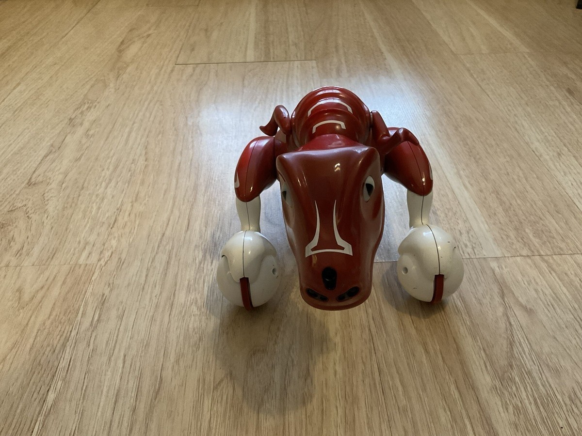 Zoomer Dino Vermelho Amazon.com: Zoomer Dino : Toys & Games