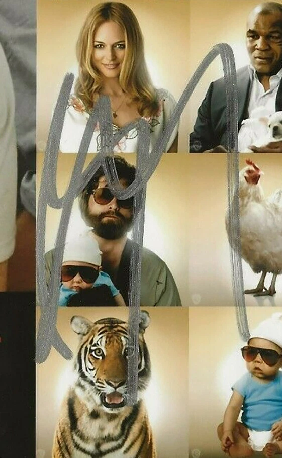 Hangover Movie Tiger