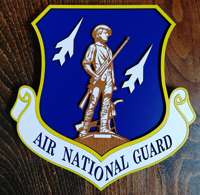 8" US Air Force Air National Guard Emblem Plaque ANG | eBay