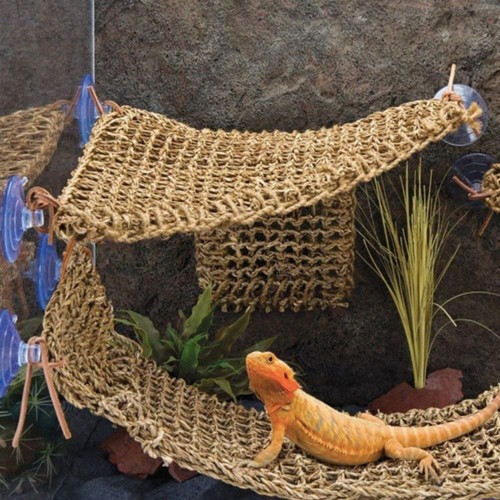 Cups Lightweight Flexible Geckos Mats Crabs House Lizard Bed Reptile ...