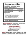 Ginko Leaf Tablets - GINKGO BILOBA EXTRACT 120mg - Brain Memory Booster ...