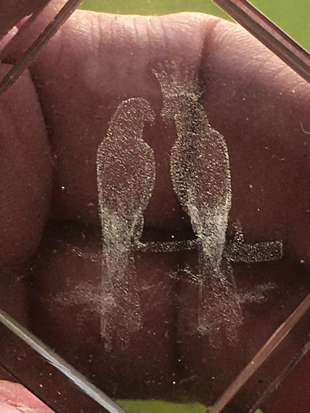 2-3" 3D Laser LOVEBIRDS in a cube | eBay