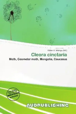 Cleora cinctaria Moth, Geometer moth, Mongolia, Caucasus Eldon A ...