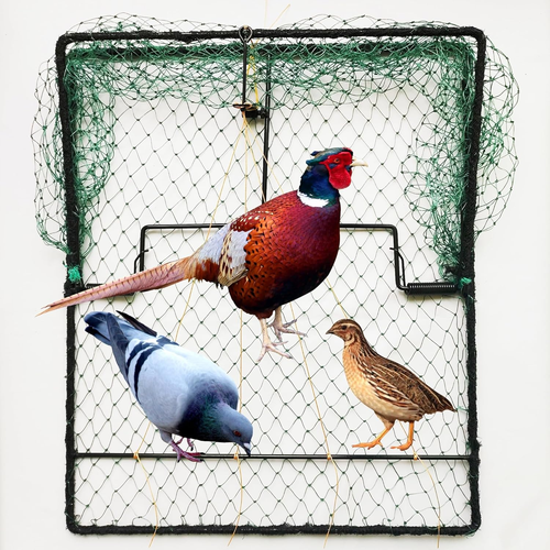 Pigeon Bird Trap 2 Pack Trapping Hunting Quail Cage Sparrow Spring ...