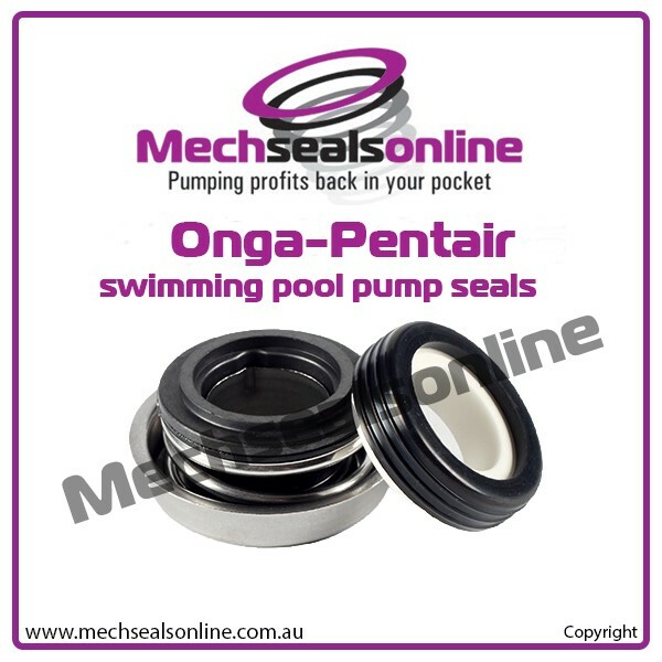 Onga | Pentair 071734S pool pump replacement mechanical seal ...