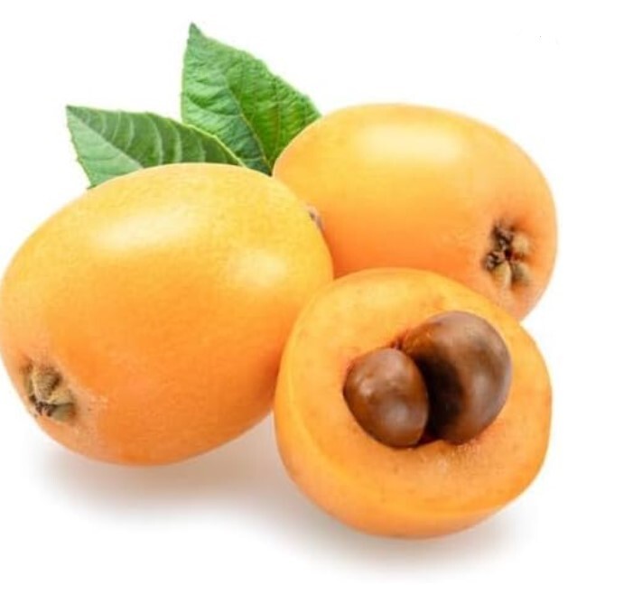 Loquat Seeds Japanese Chinese Plum Eriobotrya Japonica Organic Fresh ...