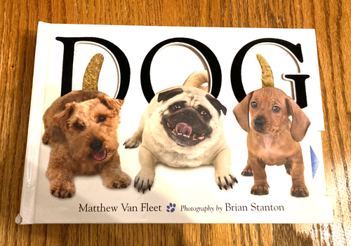 Dog, Moo and Cat (Movable Board Books) by Matthew Van Fleet (Lot of 3 ...