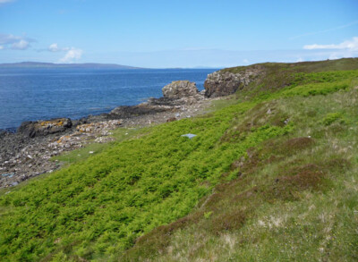 Photo 6x4 Coastline north of Poll na h-Ealaidh Cuidrach Looking out ...