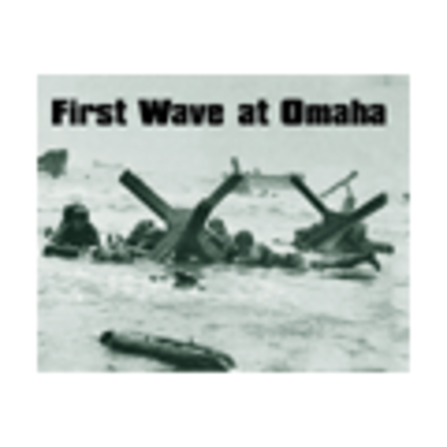 Critical H ASL First Wave at Omaha - The Invasion of Normandy, June 6 ...