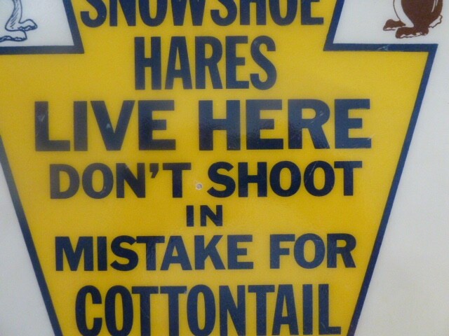 Vintage 1960 NEW Pennsylvania Game Commission Snowshoe Hares Live Here ...