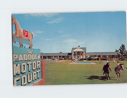 Postcard The Paddock Motor Court & Restaurant Manning South Carolina ...