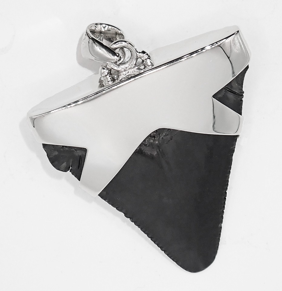 Fossil Shark Tooth Pendant – Megatoothed Otodus with Silver Cap and ...