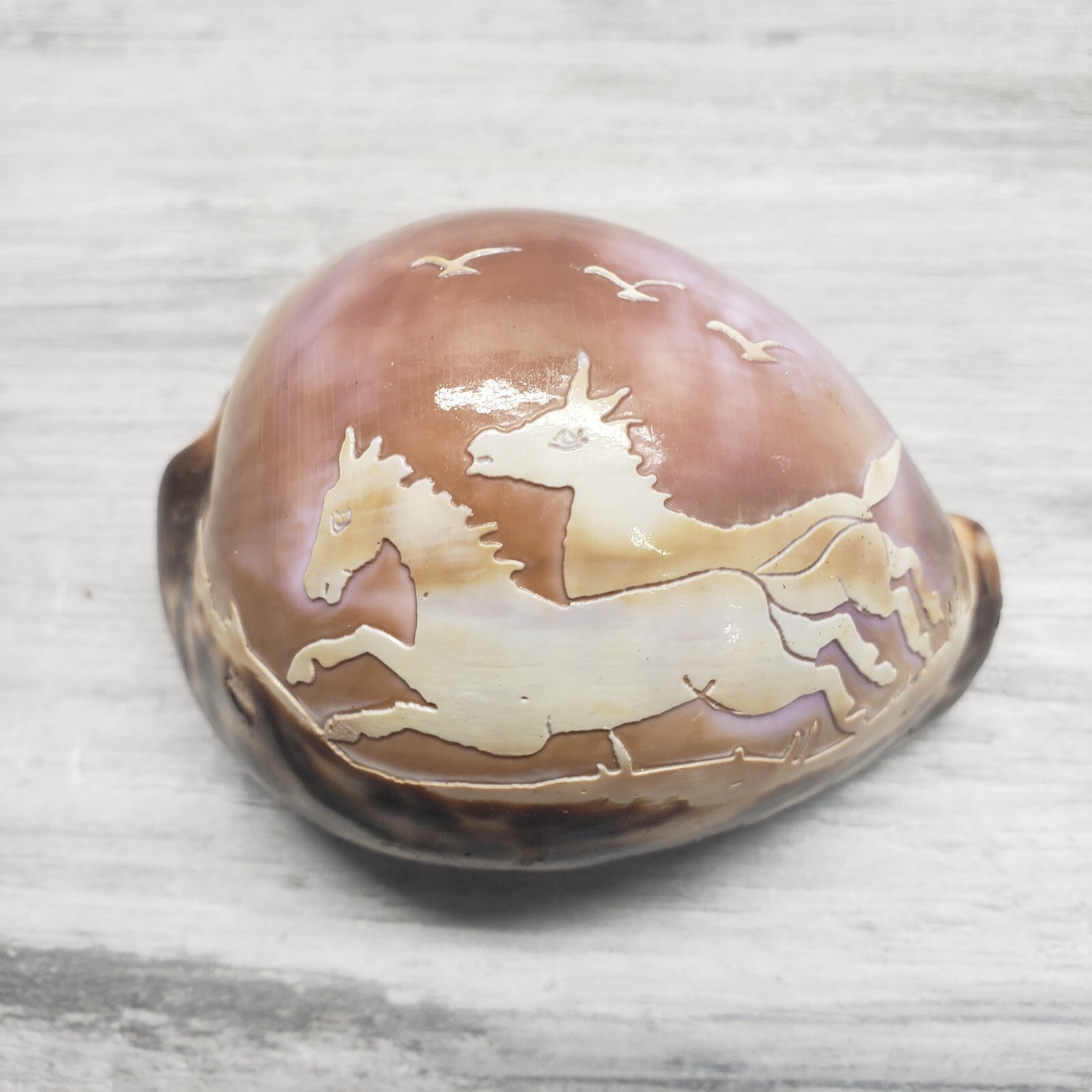 Vintage Hand Carved Cameo Horse Cowrie Shell Horses And Seagulls | eBay