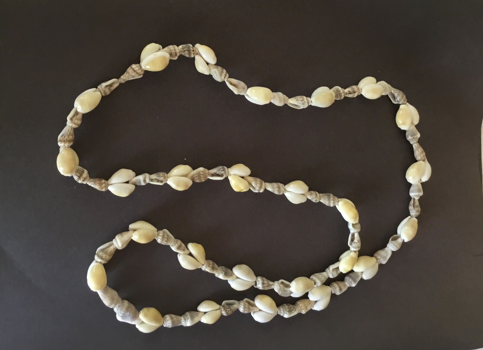 estate - Vintage HAWAIIAN COWRIE SHELL Necklace - 16.… - Gem