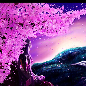 Sakura Cache | eBay Stores