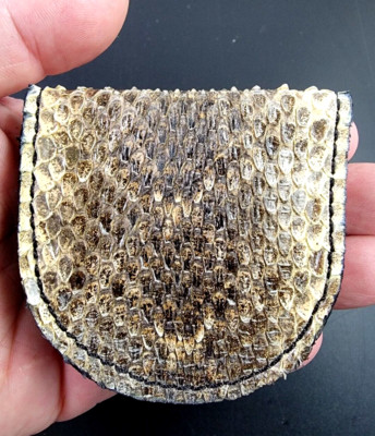 Rattlesnake Skin COIN purse brown leather interior, Coin Pouch, Coin ...