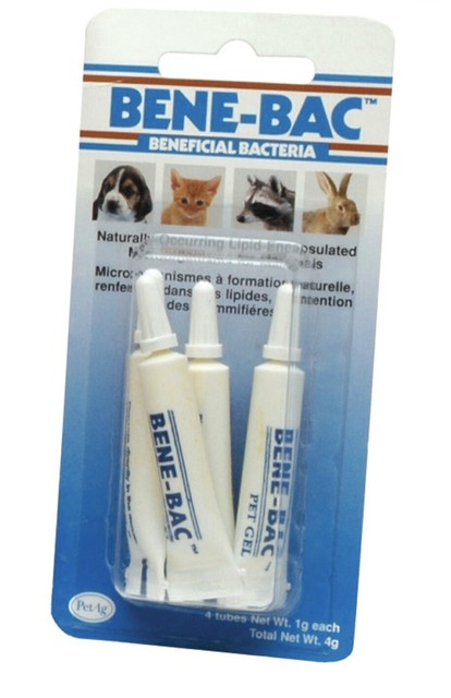 PetAg Pet GEL Bene-bac Plus FOS & Probiotics 4 Tubes 1g Each for sale ...