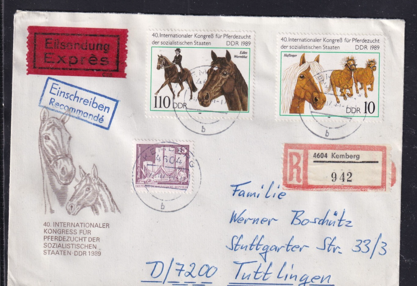 DDR 3261,3264,2501 PFERD HAFLINGER HORSE REITEN BRIEF COVER GERMANY | eBay