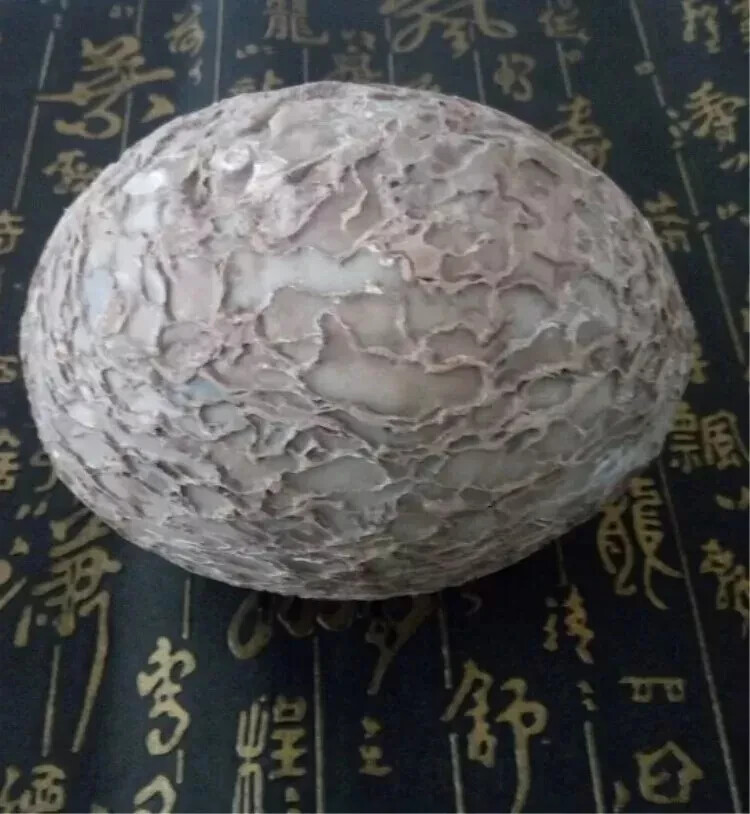 Segnosaur Dinosaur Egg Fossilized Crystallized Fossil Jurassic ...