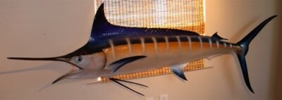 Taxidermy - Marlin Mount