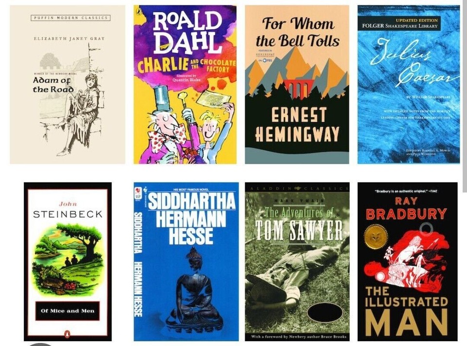 📚💫 Lot of 18 Classic Literature Works – Legendary Books for Book Lovers ...