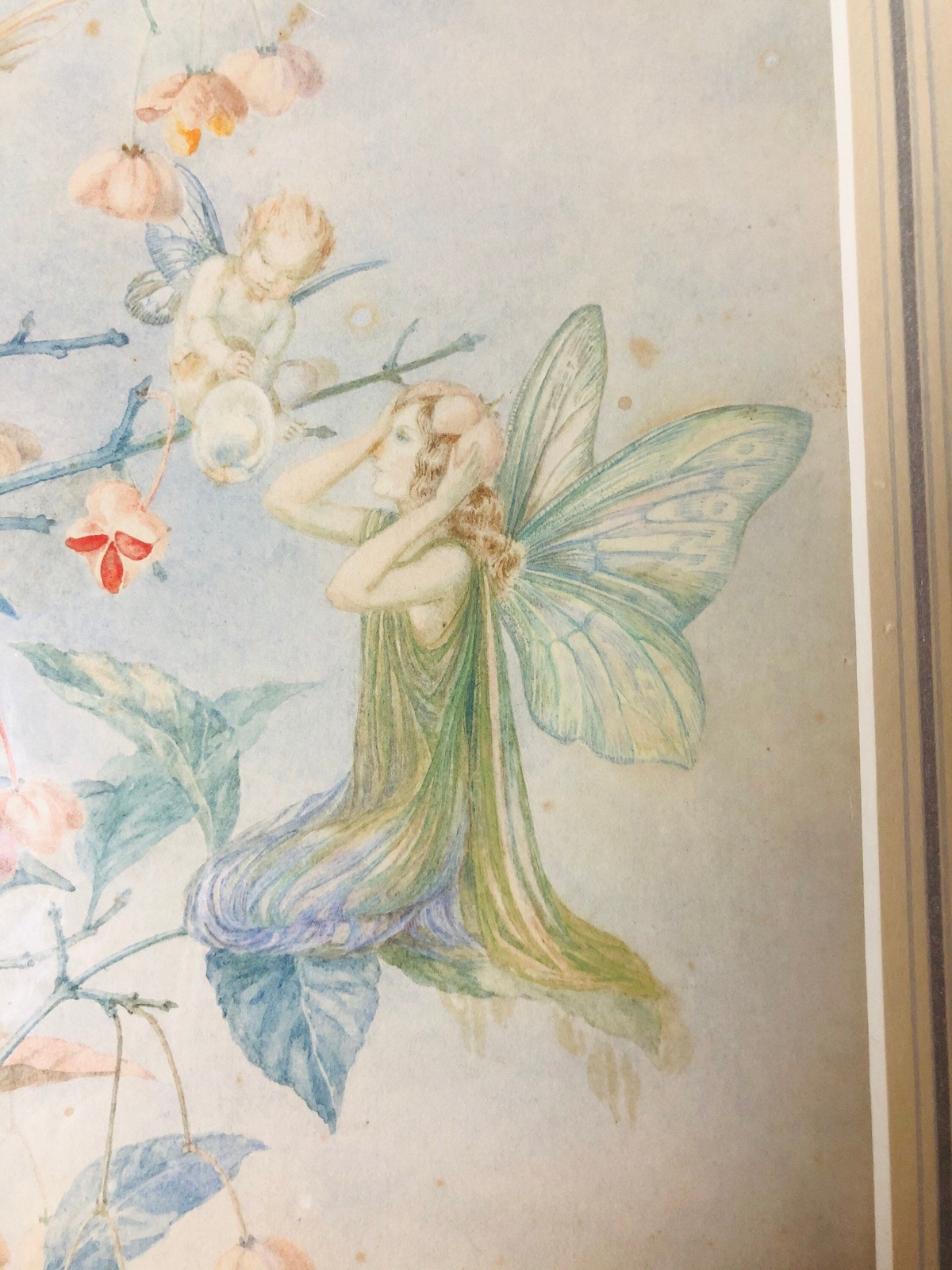 Daphne Allen 1889-1985 Original Watercolour Fairy Silver magical ...