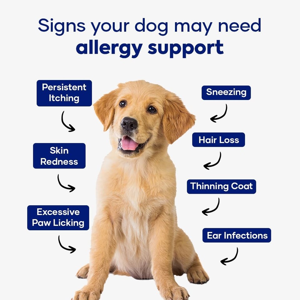 Aniwell Allergy & Immune Support Dog Chews Astragalus Flaxseed Soft ...