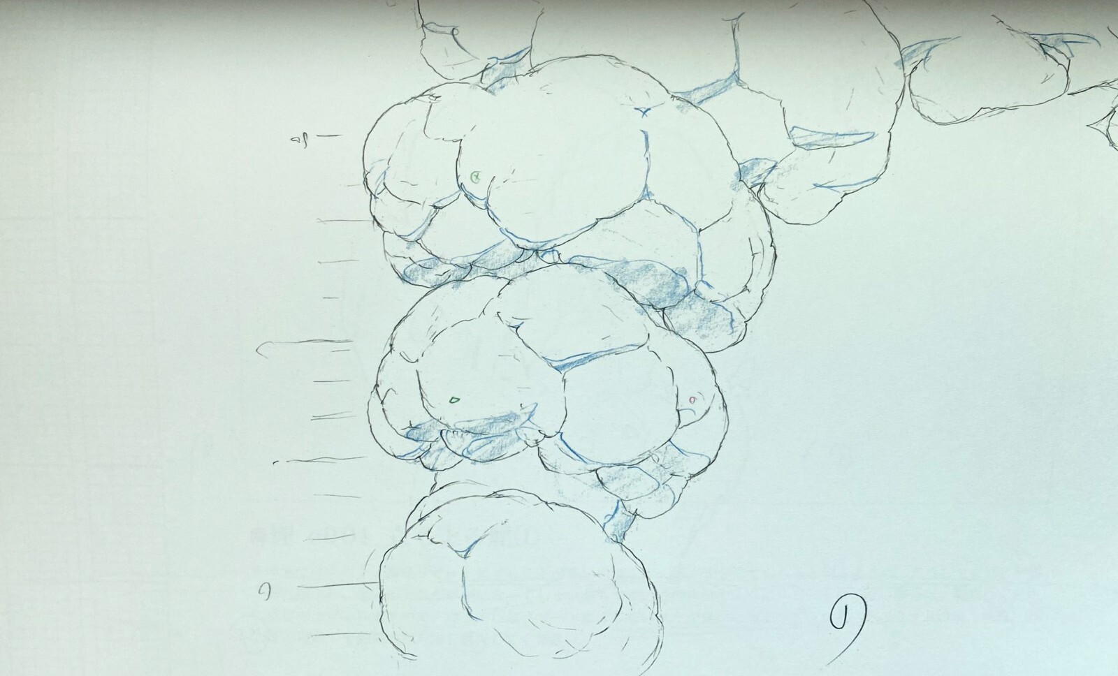 Toshiyuki Inoue Drawing & Consideration Effect "Flame" Animator Text ...