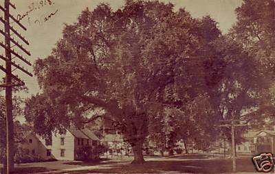 NORTHHAMPTON ~ MASSACHUSETTS ~ STREET SCENE - 1908 | eBay