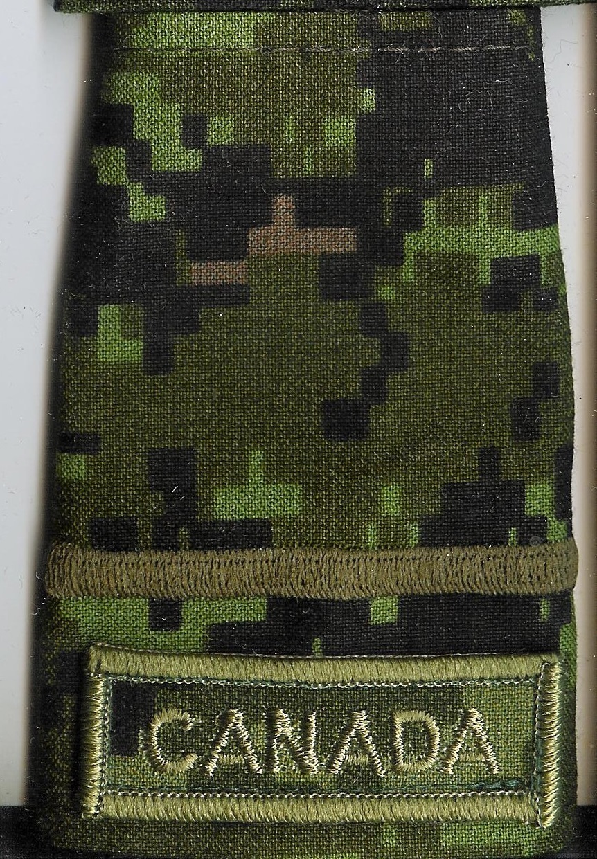 Obsolete Modern Canadian Army CADPAT Officer Cadet Epaulette - M | eBay