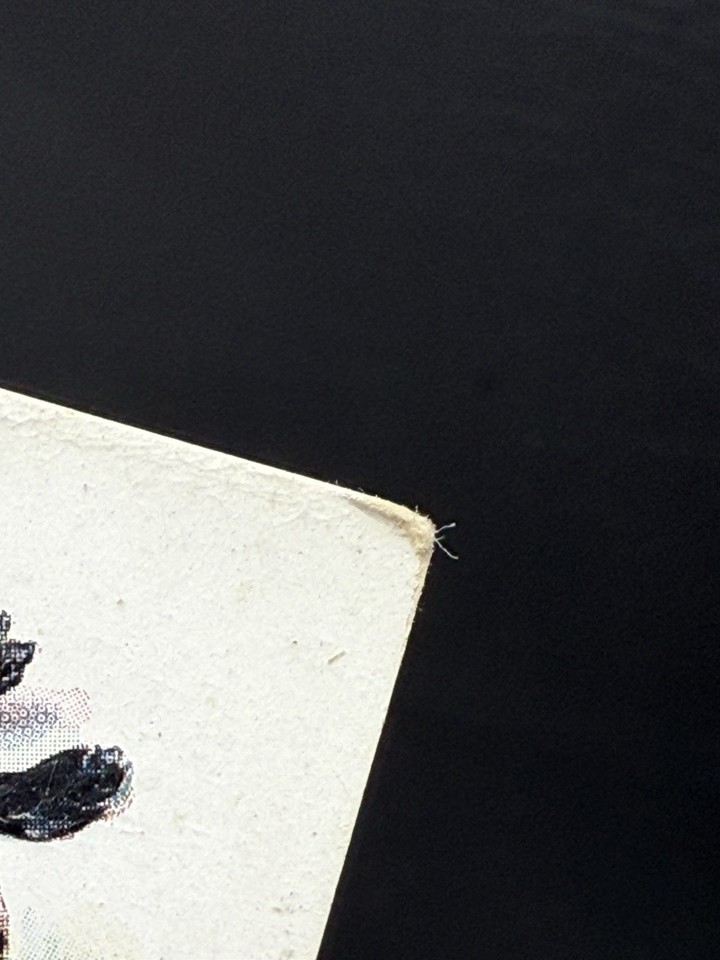 Vintage Whiteney Made Halloween Postcard Bats Cauldron JOL House Cat ...