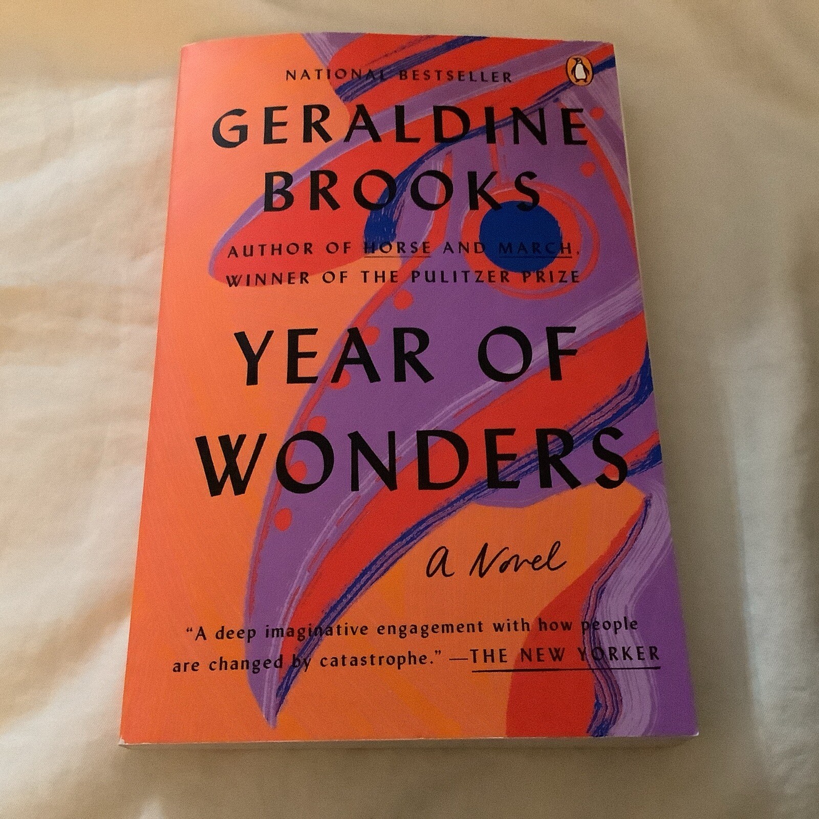 Year of Wonders : A Novel by Geraldine Brooks (2002, Trade Paperback ...
