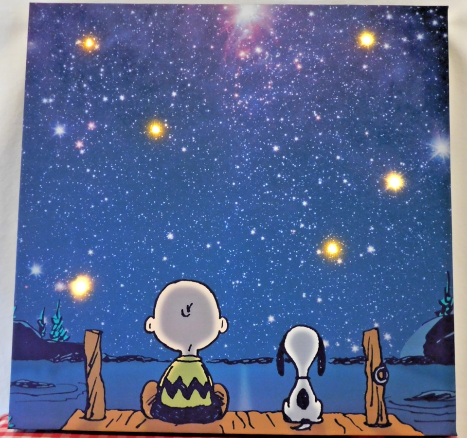 Peanuts Lighted Canvas Wall Art Charlie Brown & Snoopy “Star Gazing ...