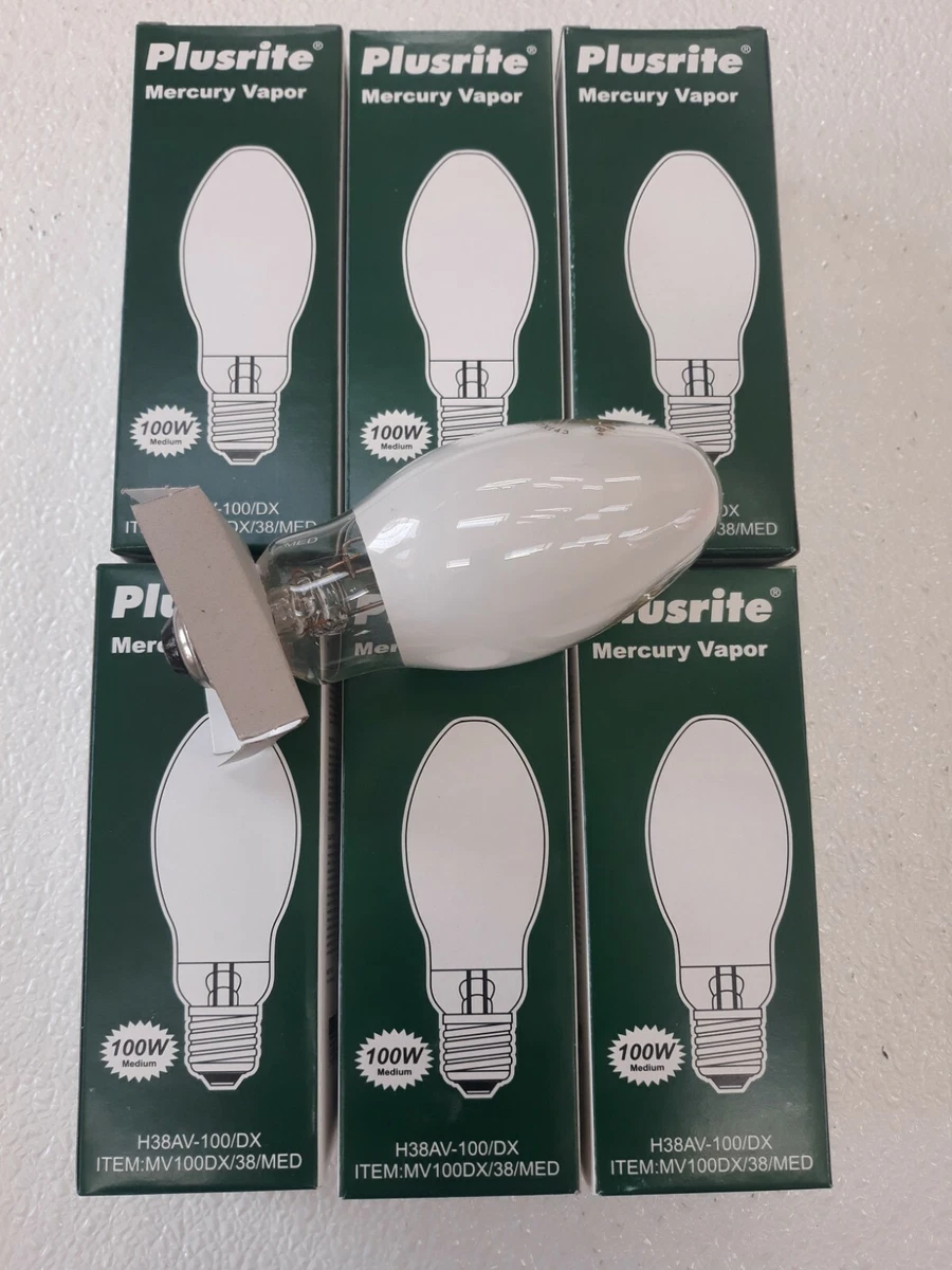 Plusrite Halogen Incandescent Light Bulb | Shelly Lighting